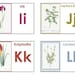Vintage Flower Printable Alphabet Flash Card - Nature Study - 14 ...
