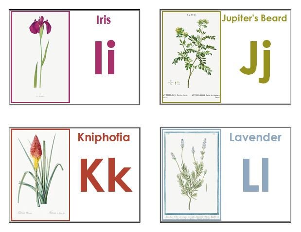 Vintage Flower Printable Alphabet Flash Card - Nature Study - 14 ...
