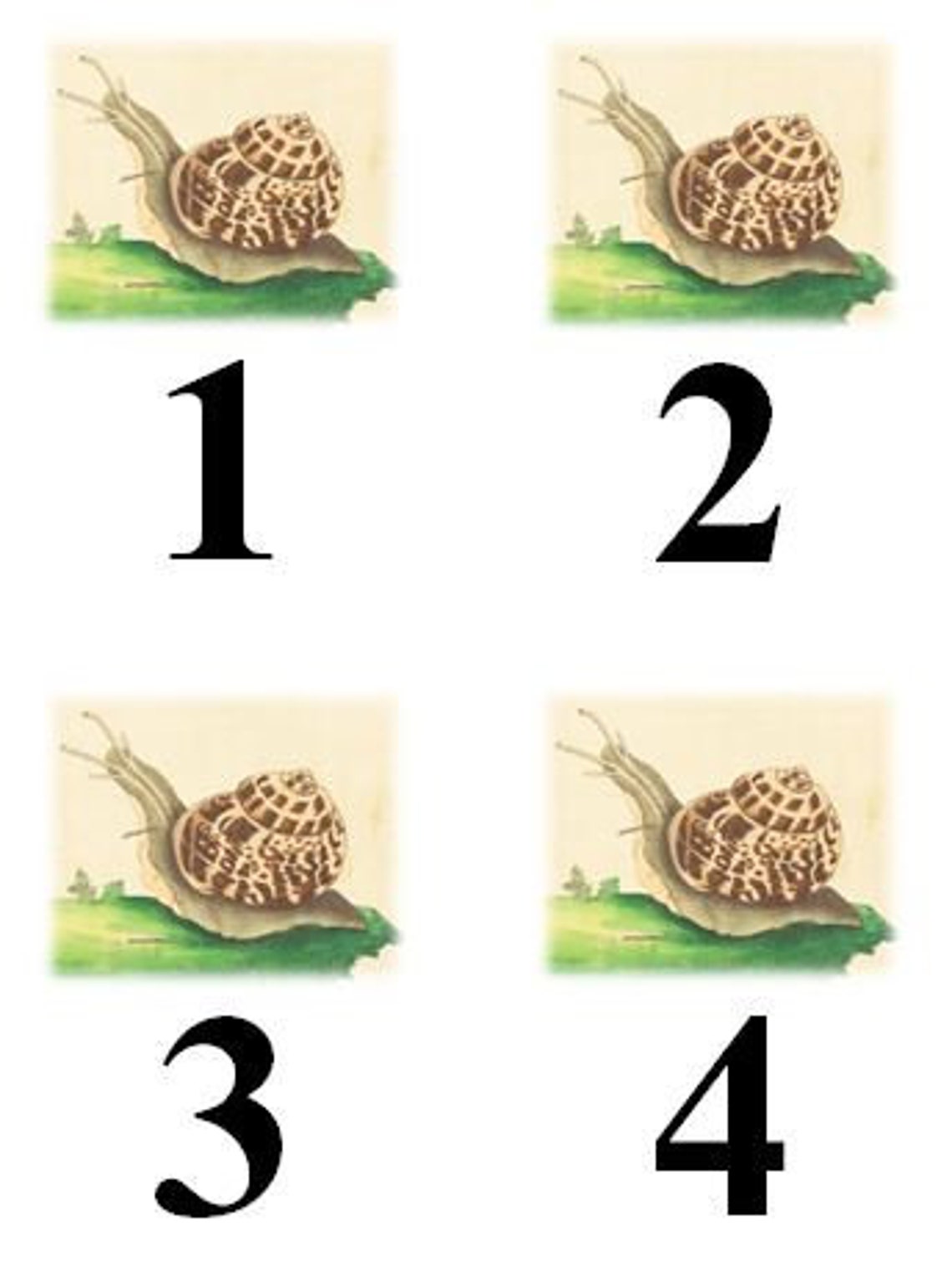 Snails Number Cards Printables Numbers 1-20 Digital - Etsy
