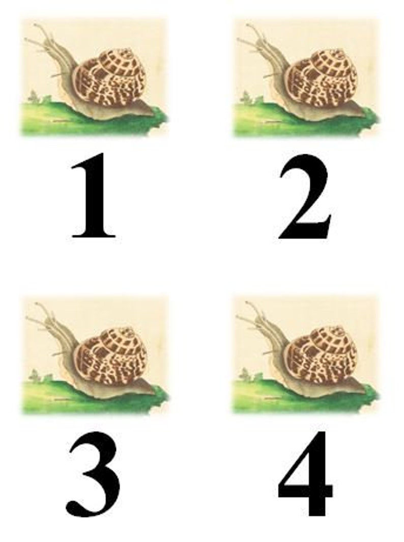 Snails Number Cards Printables Numbers 1-20 Digital - Etsy