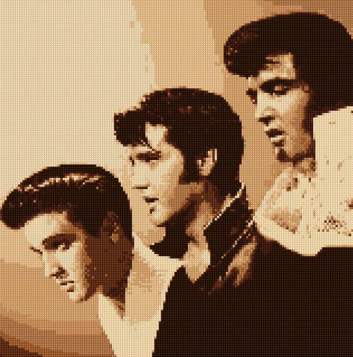 Life of Elvis Portrait Cross Stitch Pattern PDF EASY Chart | Etsy Canada