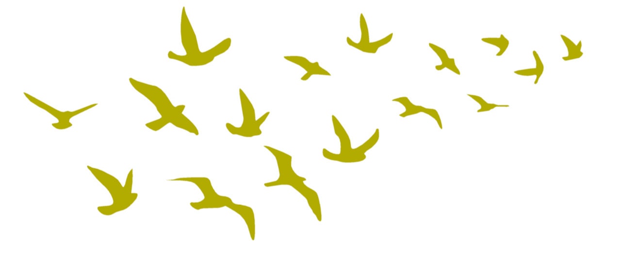 Birds in Flight Vinyl Wall Decal Sticker Birds Flying Wall - Etsy