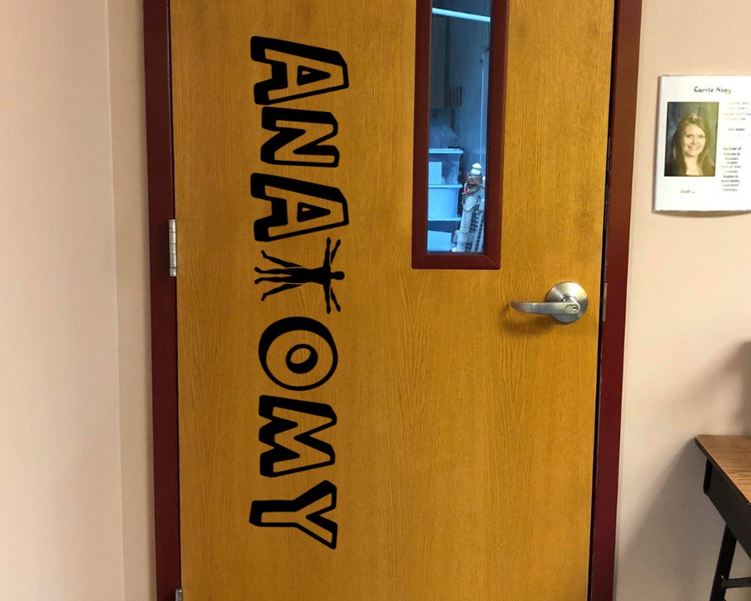 Anatomy Decal, Anatomy Teacher, Classroom Door Decal for Anatomy ...