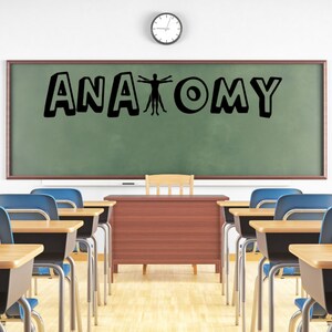 Anatomy Decal, Anatomy Teacher, Classroom Door Decal for Anatomy ...