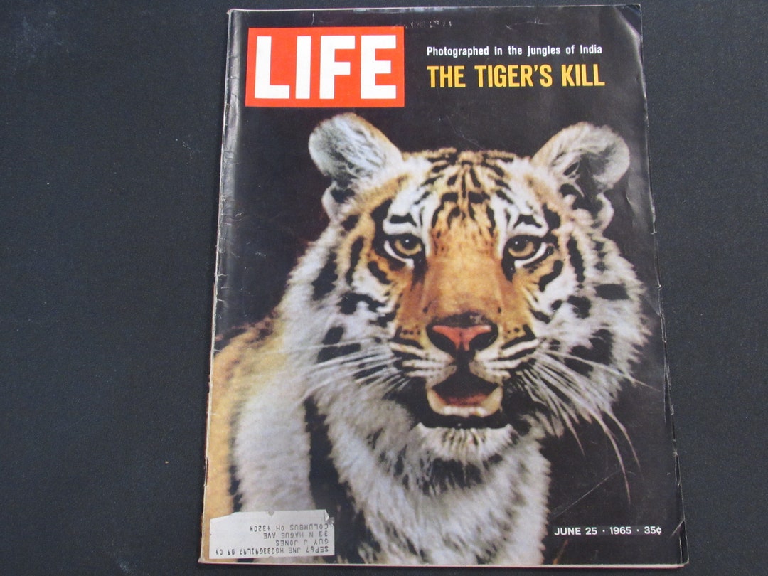 Vintage Life Magazine June 25, 1965 "the Tigers Will Kill" - Vintage ...