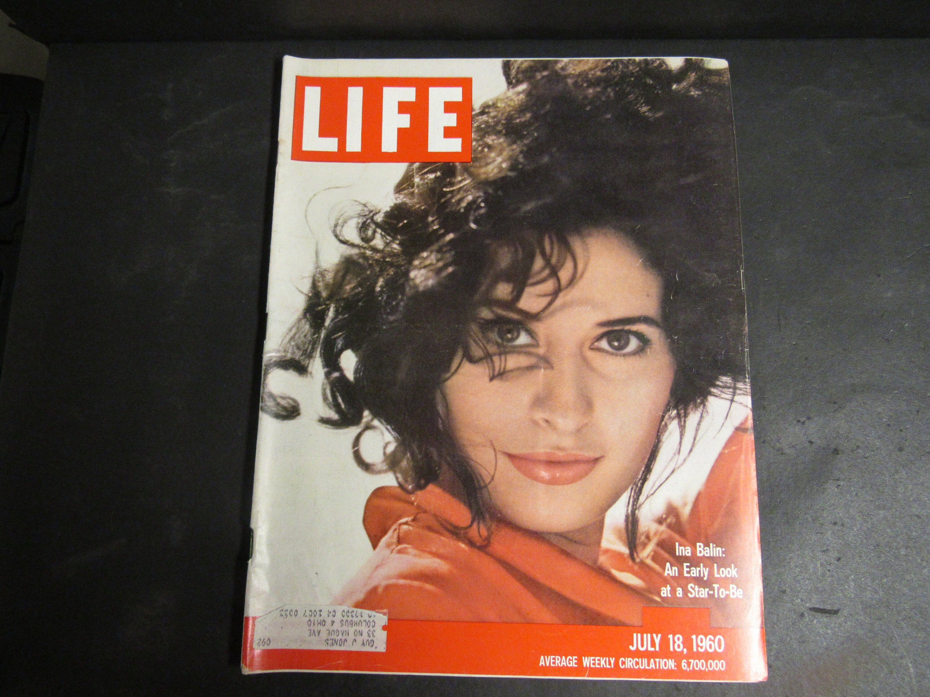 Ina Balin Oil Painting