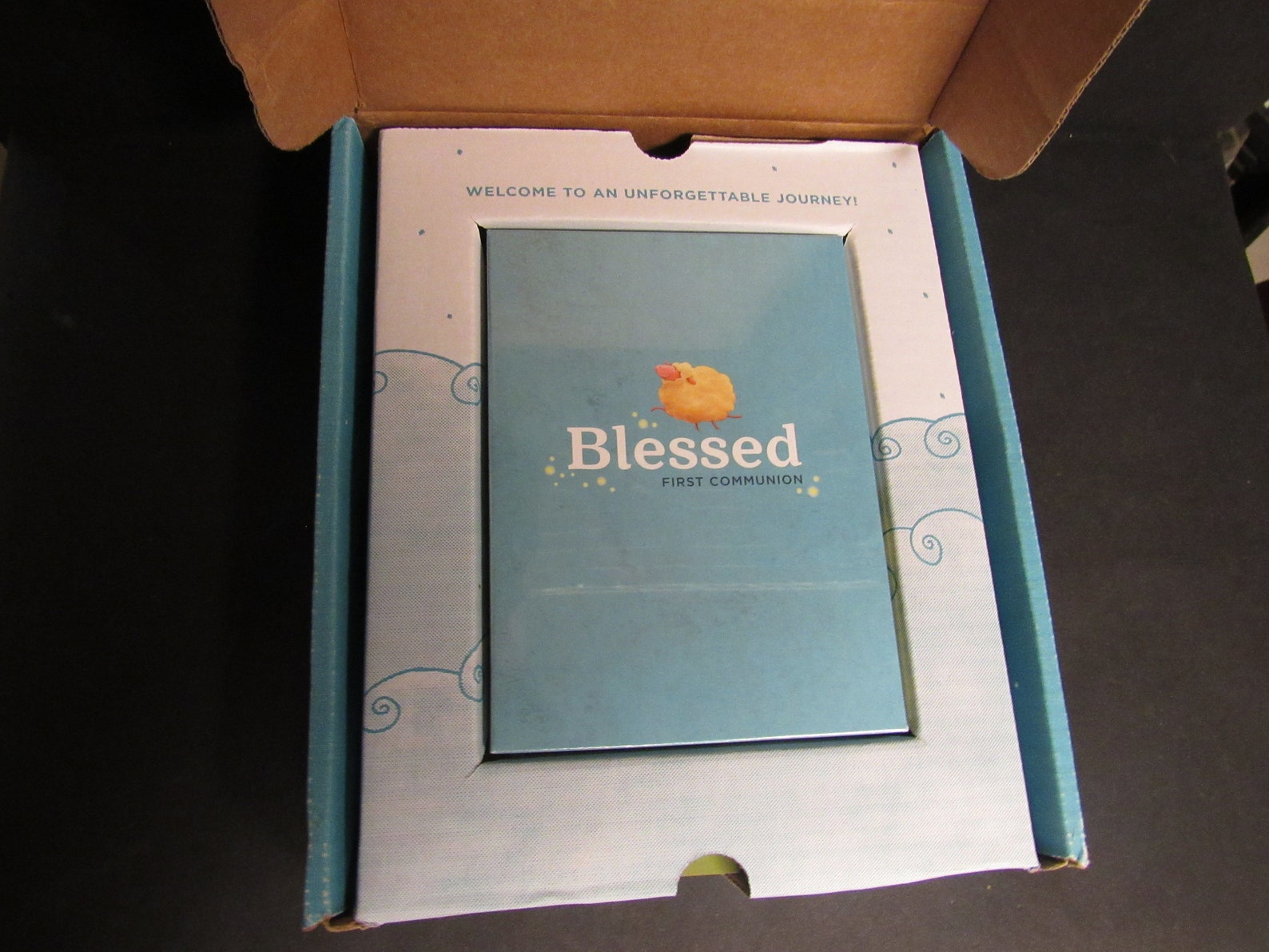 Dynamic Catholic Blessed First Communion DVD Leader and - Etsy
