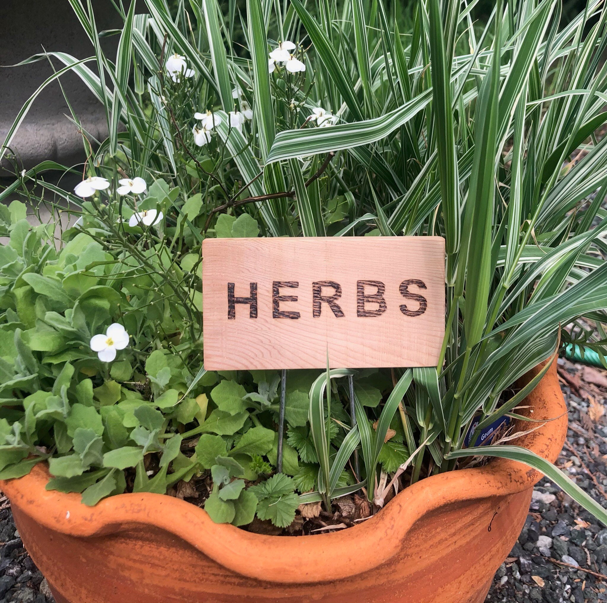 Custom Wood Burned Plant Tag Rustic Garden Marker Vegetable - Etsy Canada