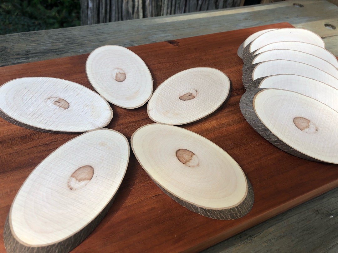 10 Wood Discs/slices, Rustic Wood Slices With Live Edge for DIY, Tags ...