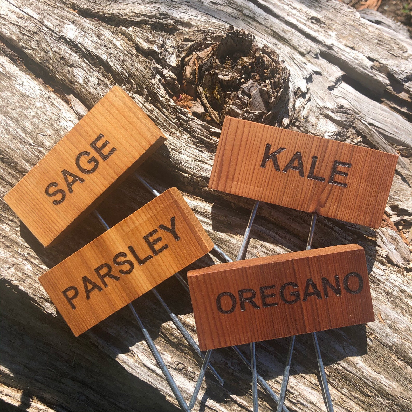 Custom Wood Burned Plant Tag Rustic Garden Marker Vegetable - Etsy Canada