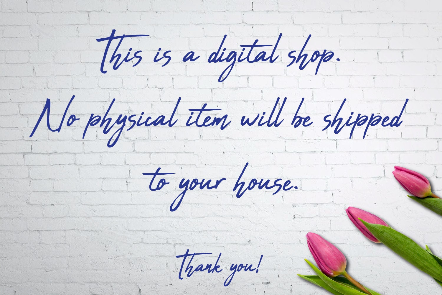 Maui Word Art Svg Dxf Eps Png Jpg T-shirt Typography Overlay | Etsy