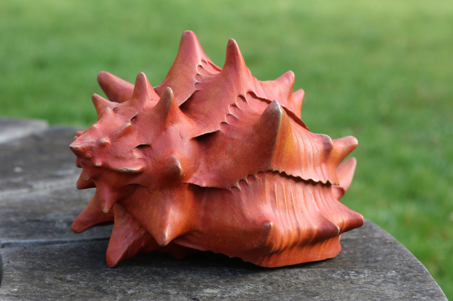 Shell II - Unique Sculpture, Hand Carved in Laminated Ply. Signed and ...