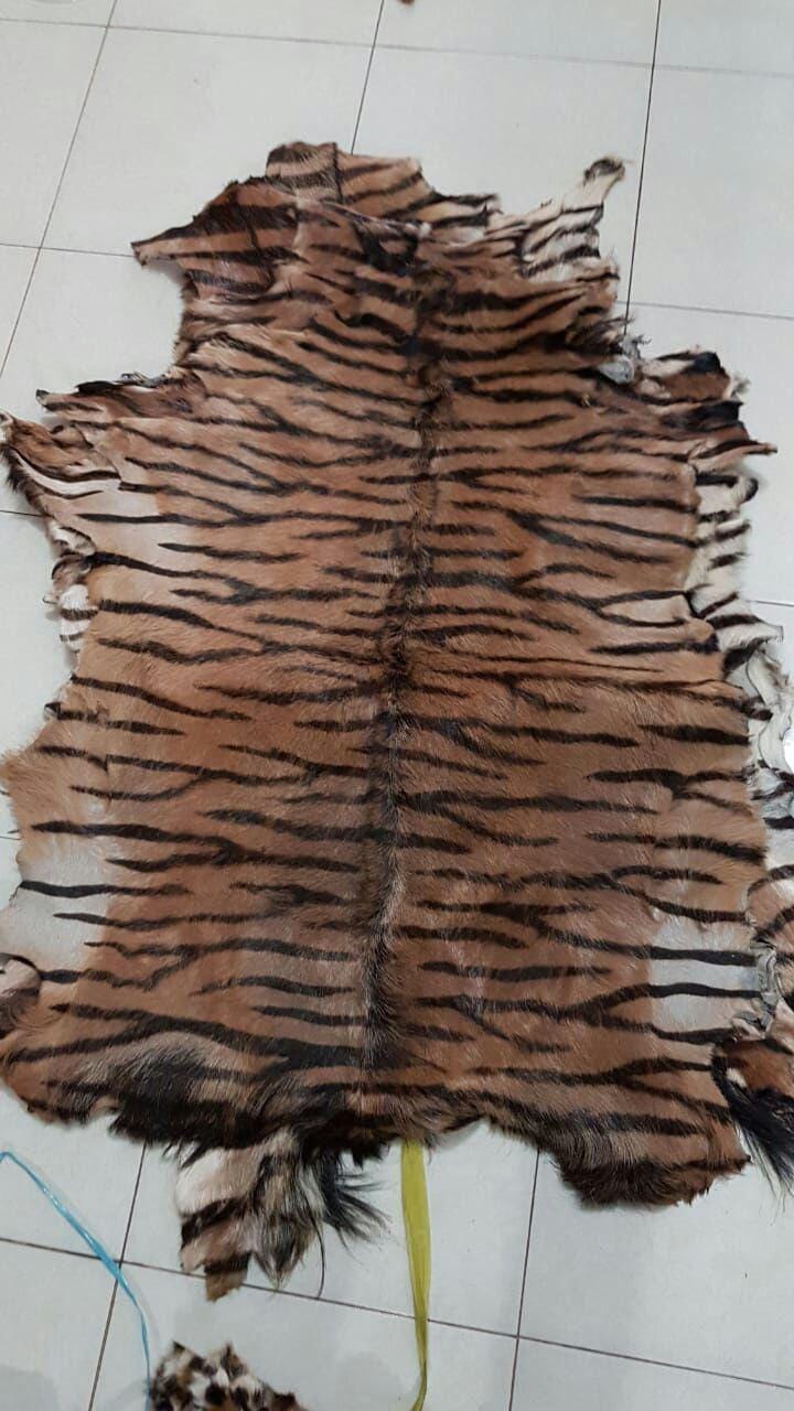 Tiger Rug Goat Skin , Animal Rug, Animal Skin Rug, Animal Skin Rug ...