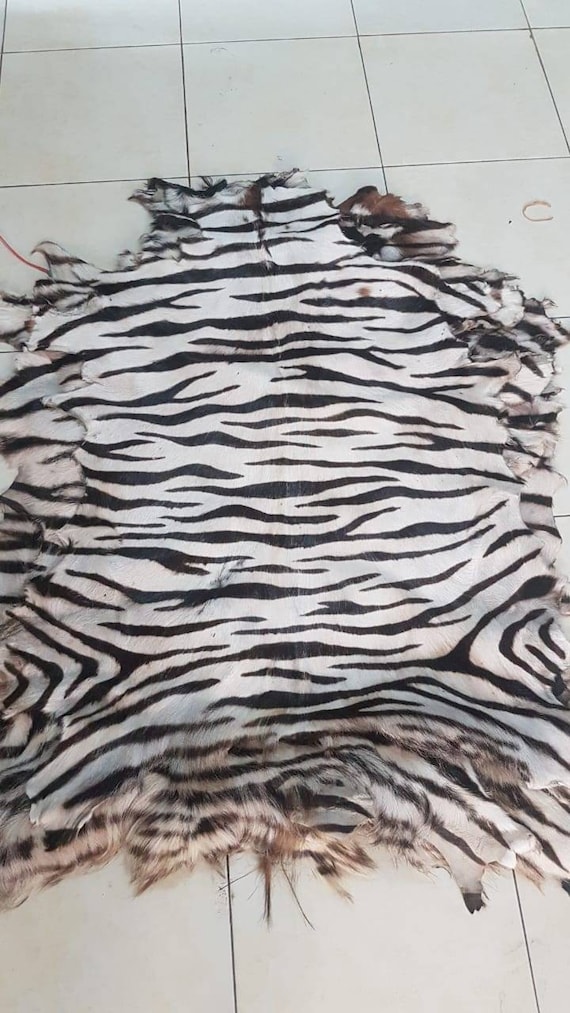 Tiger Rug Goat Skin Animal Rug Animal Skin Rug Animal Skin | Etsy