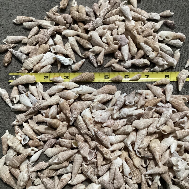 FlamingoEmporium - Etsy