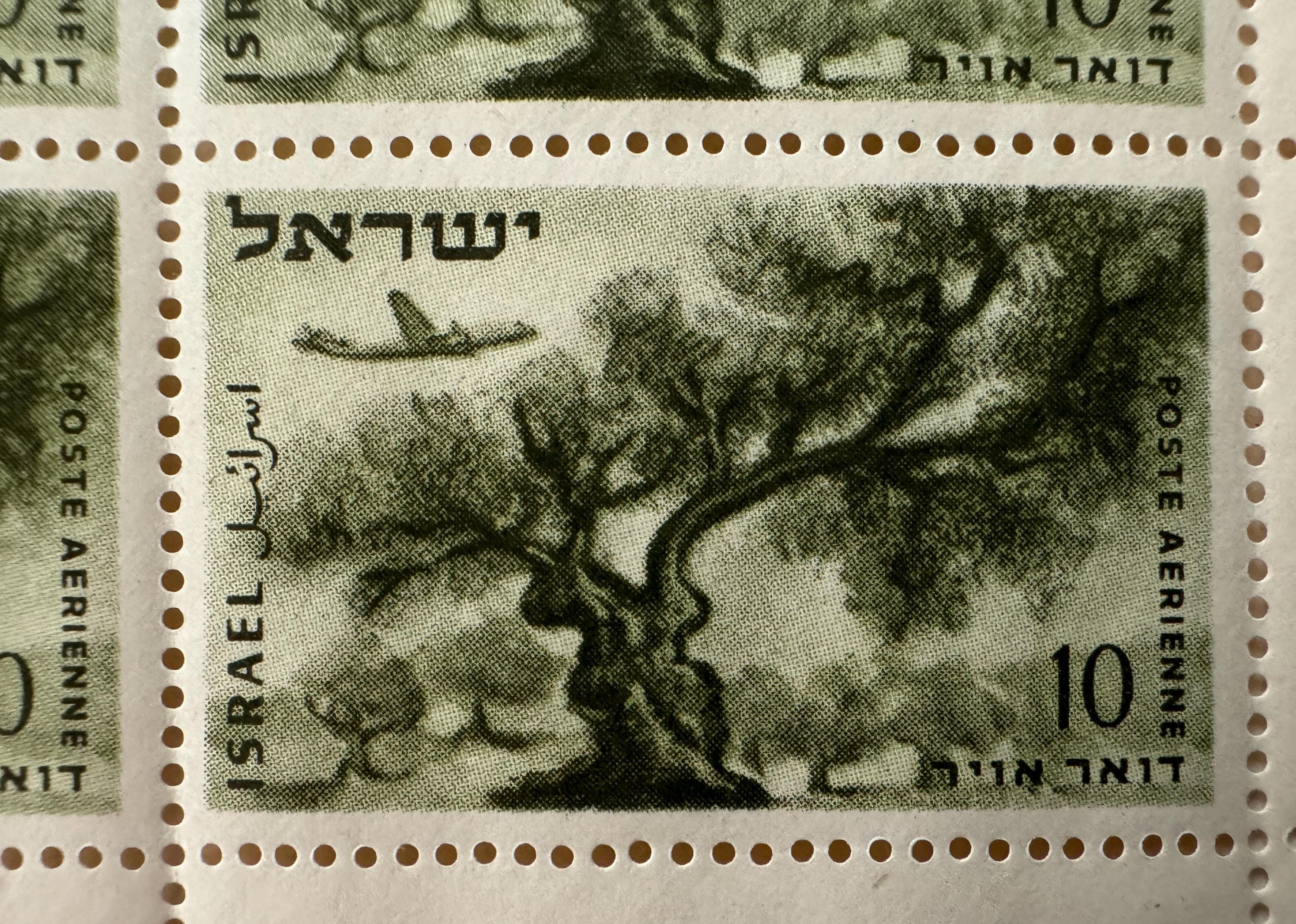 1954 Israel Stamp C9 Airmail 10p Full Sheet 25 Pane Olive Tree ...
