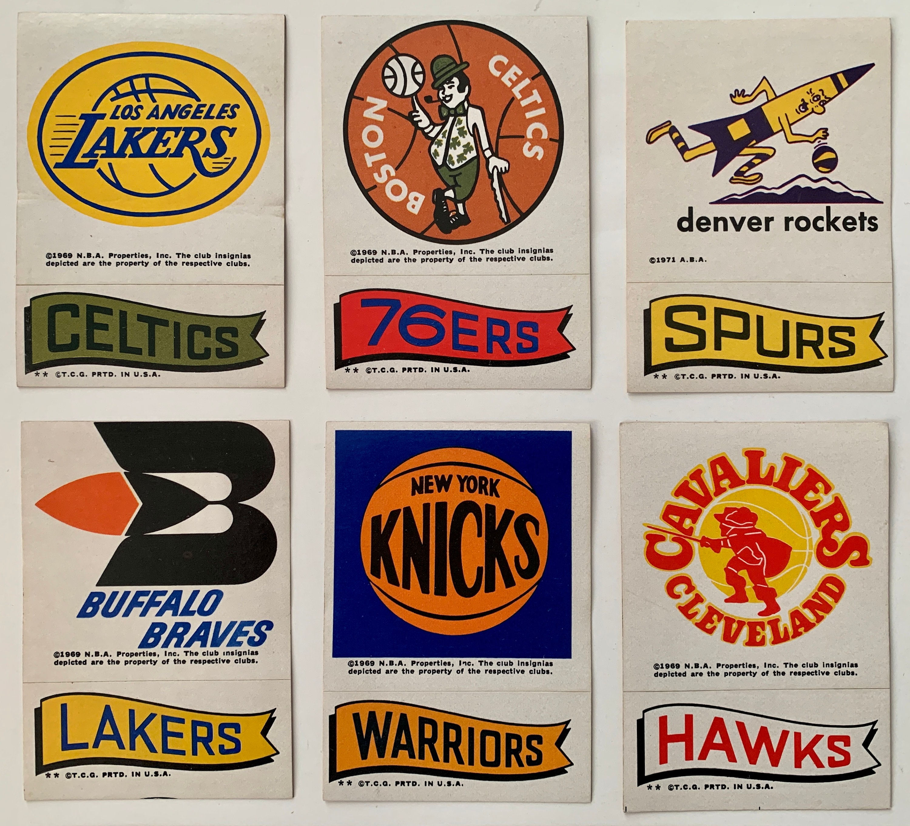 Professional Basketball Team Logo