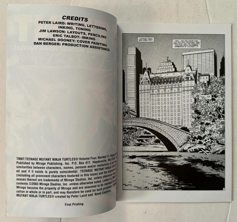 TMNT V4 11 Teenage Mutant Ninja Turtles (first Printing) - Mirage ...