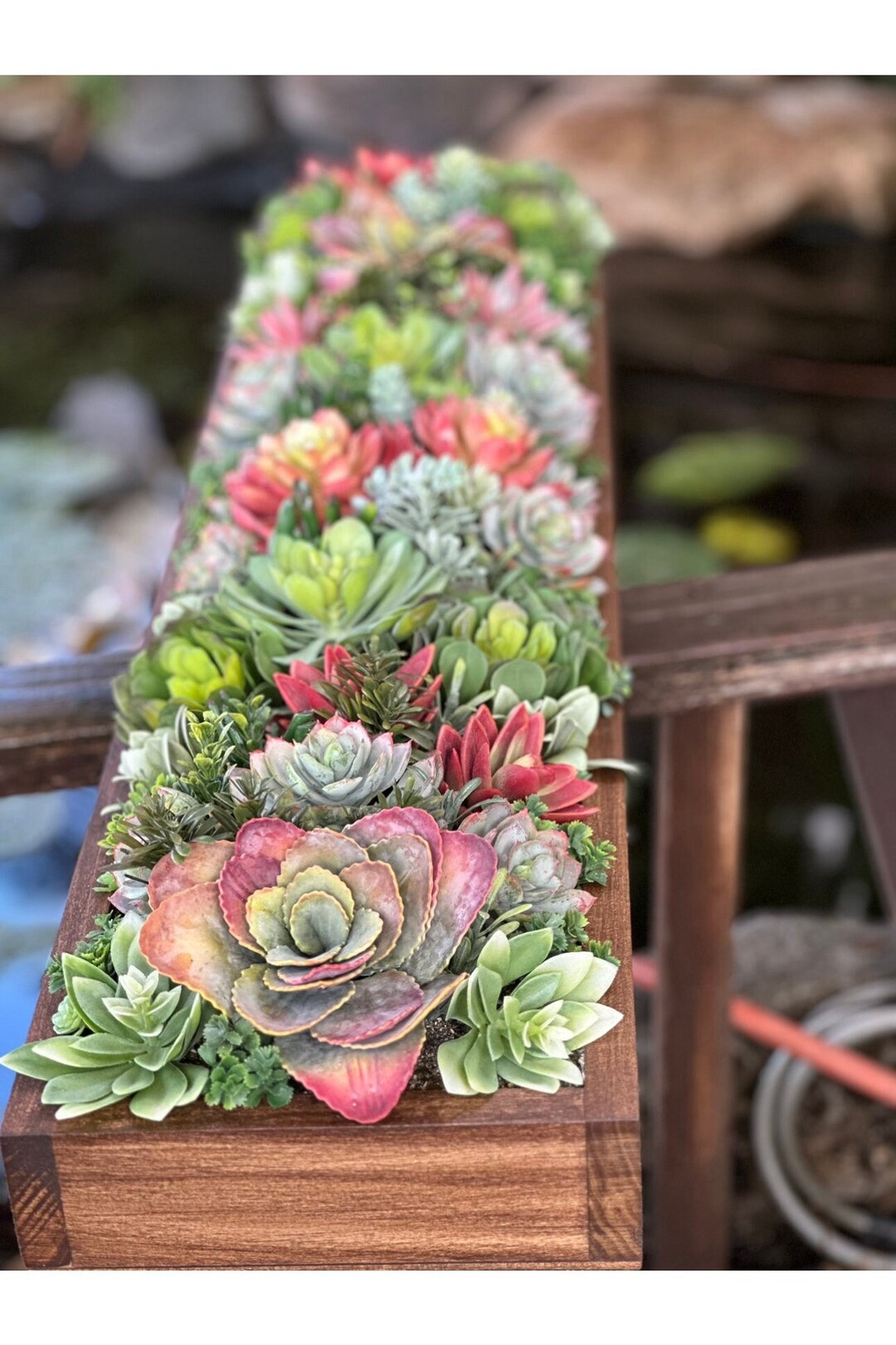 30 X 7” Wide Extra Large Faux Succulent Arrangement in a Special Walnut ...