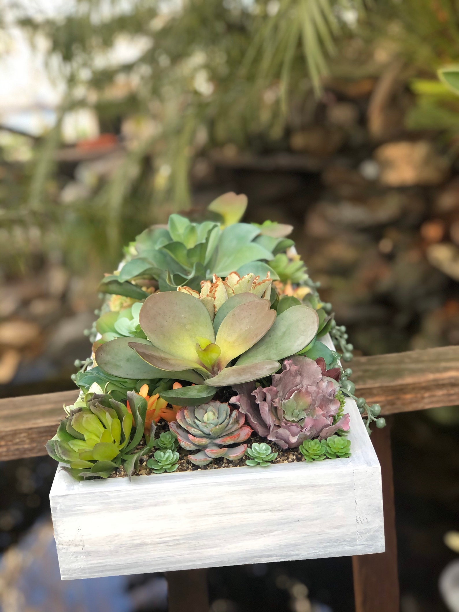 Extra Large Faux Succulent Arrangement Realistic Succulents - Etsy