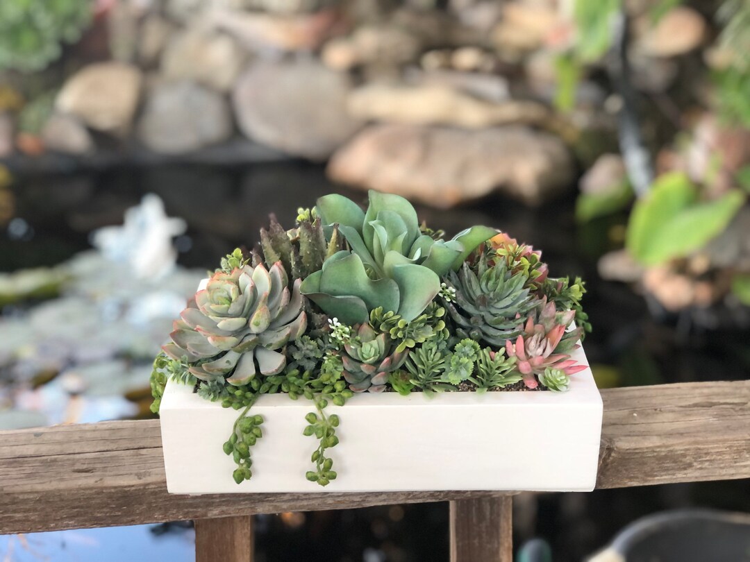 Realistic Faux Succulent Arrangement Lots of Color-. Easy Care ...