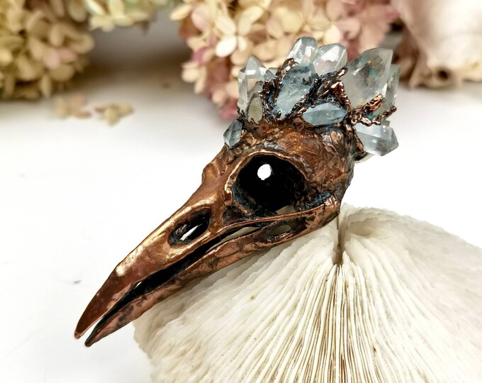Pagan Crystal Skull, Altar Piece, Animal Skull, Bird Skull, Ooak Thing ...