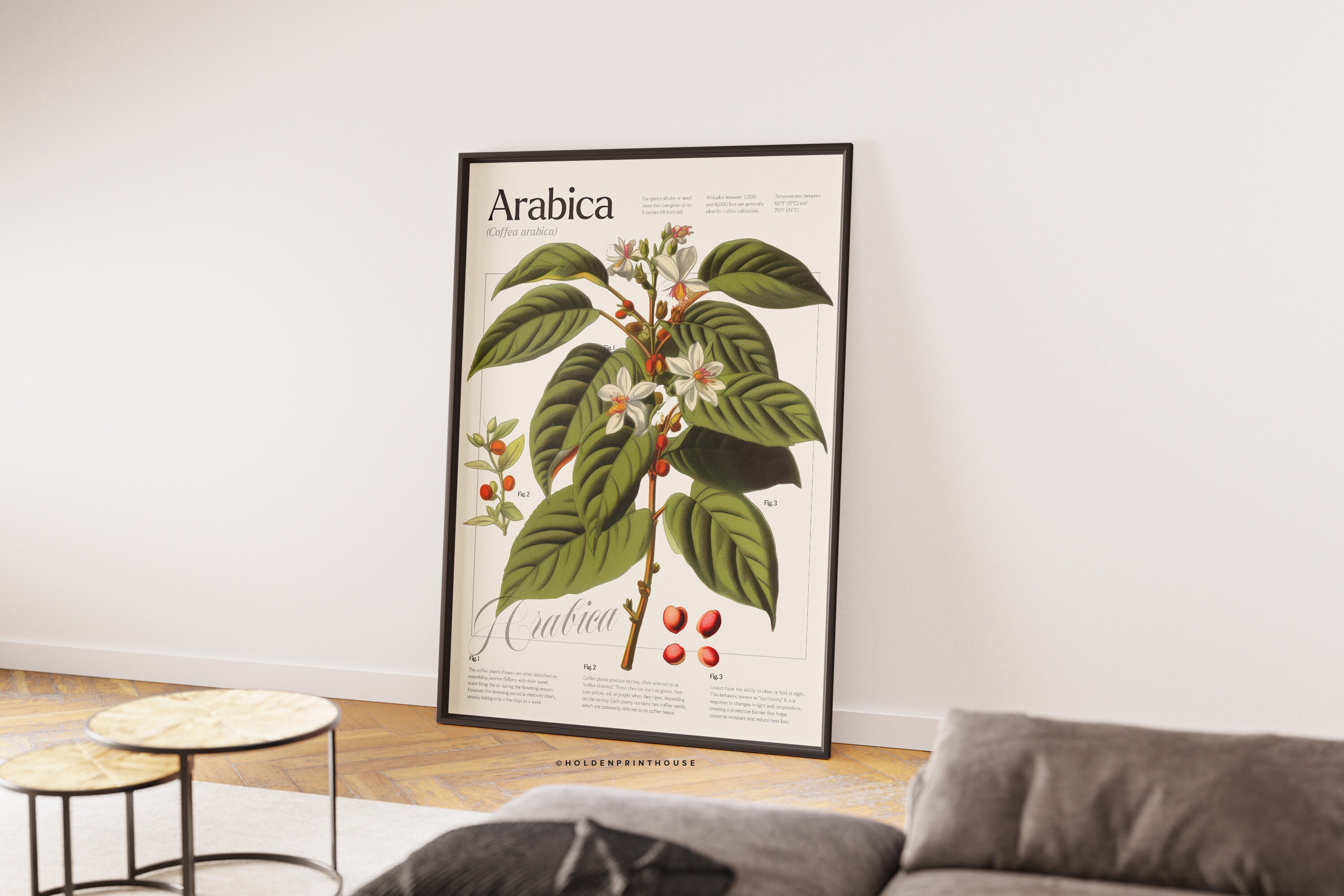Vintage Coffee Plant Poster // Botanical Decor, Wall Art, Gift Idea ...