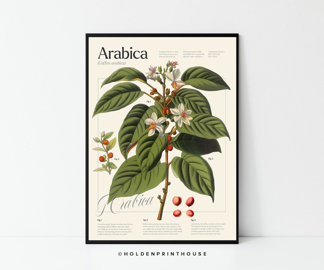 Vintage Coffee Plant Poster // Botanical Decor, Wall Art, Gift Idea ...