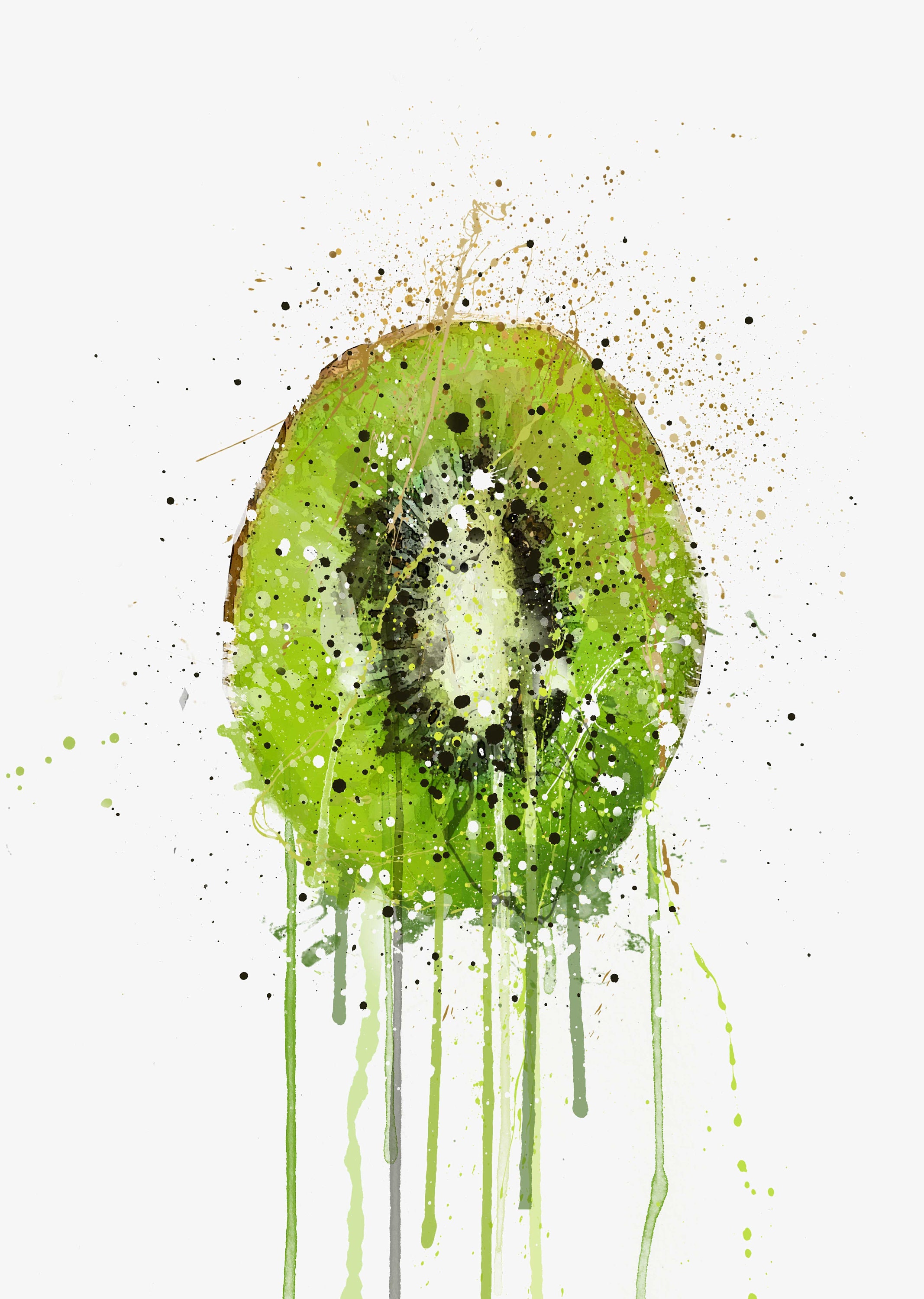 Kiwi Fruit Wall Art Print 0294 | Etsy