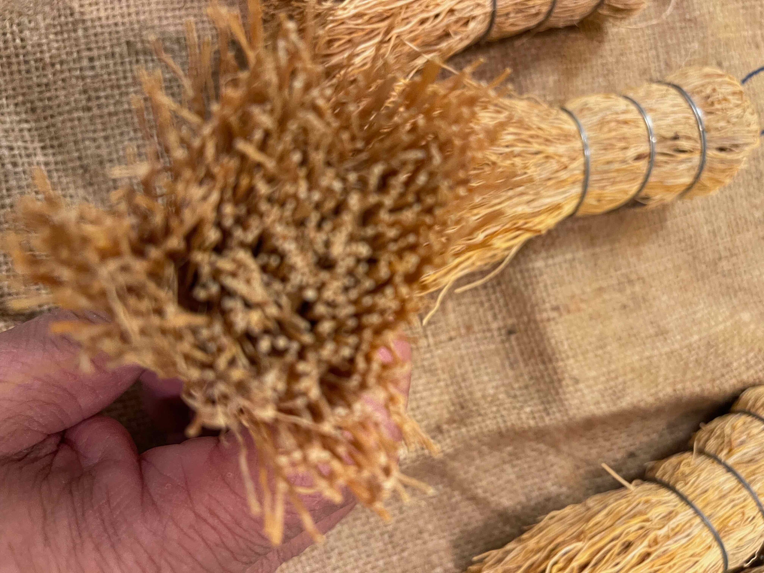 Vintage Whisk Mini Brooms - Etsy
