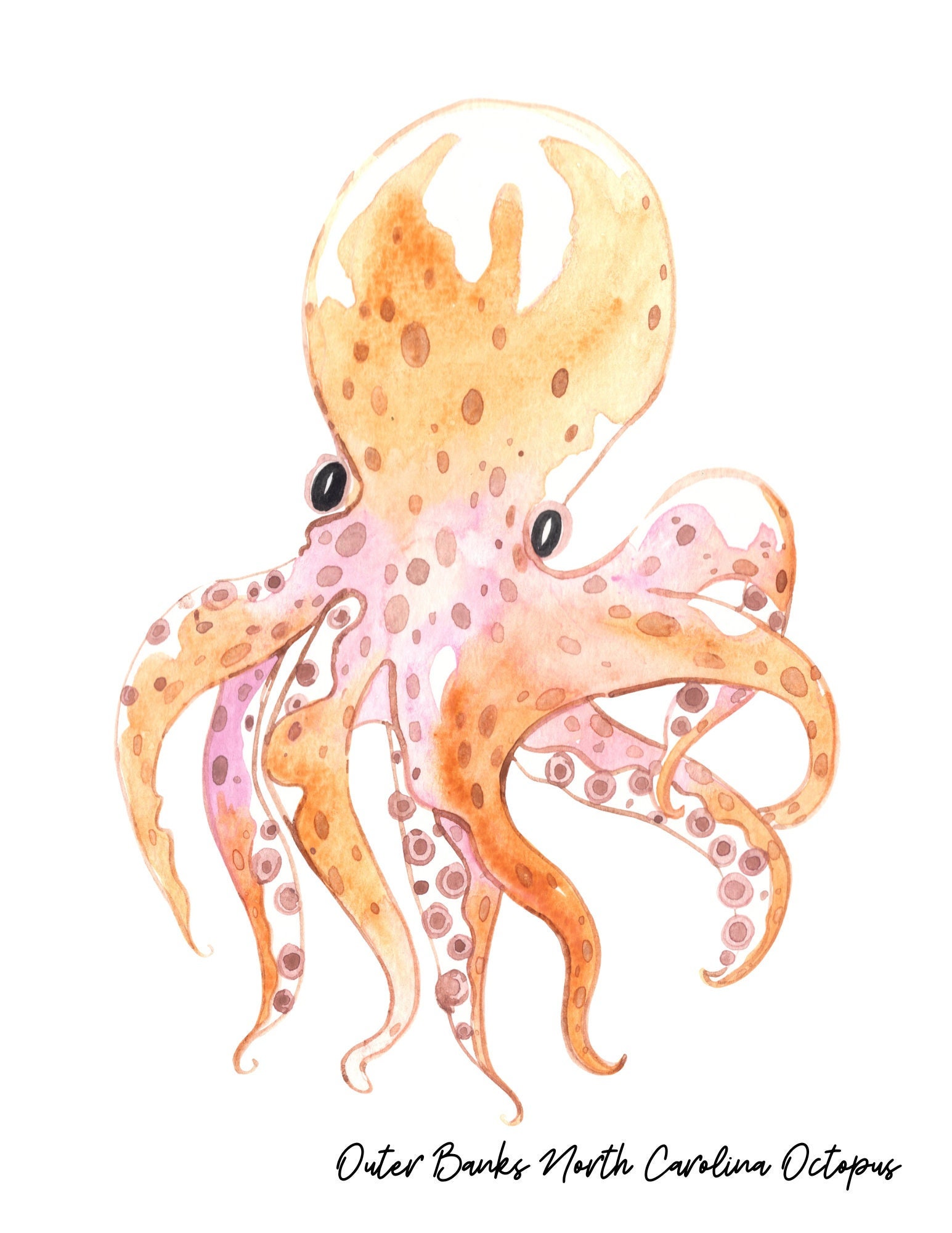 Outer Banks / North Carolina / Octopus / Wall Art / Art Print ...
