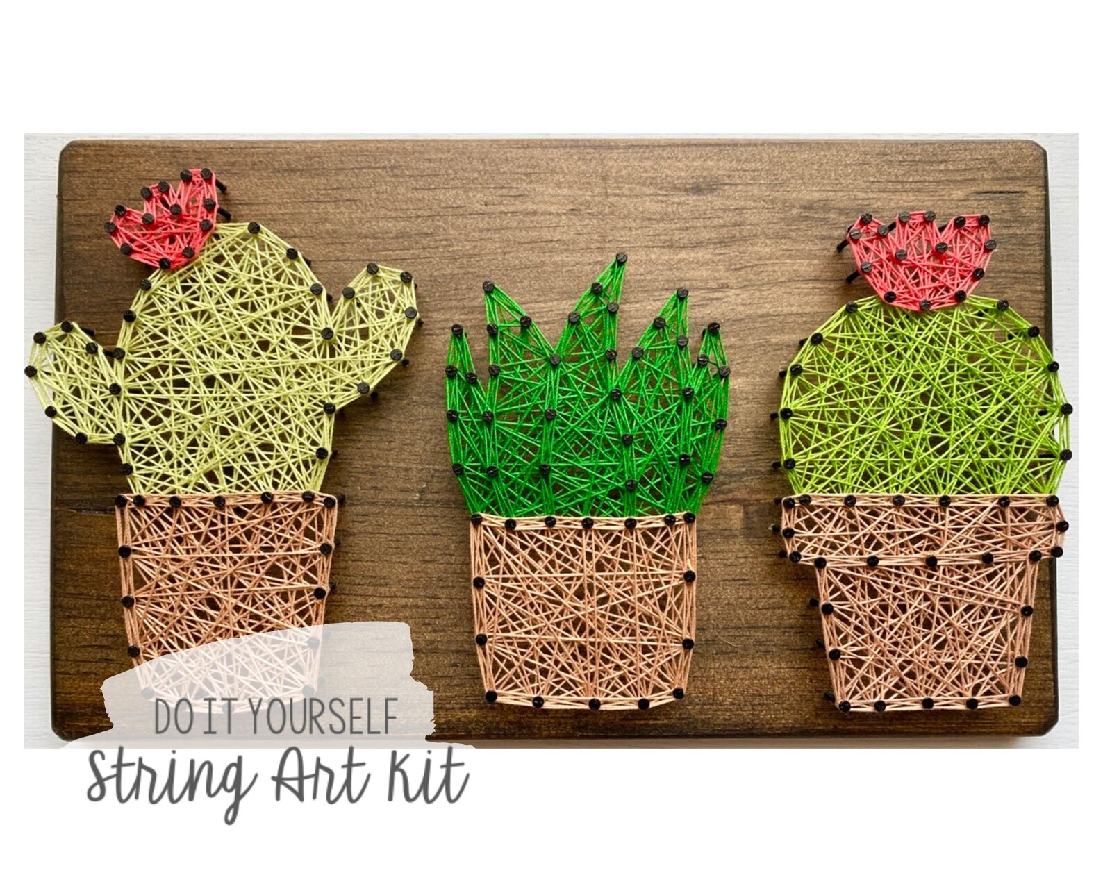 DIY Cactus Succulent String Art Kit - Etsy Canada