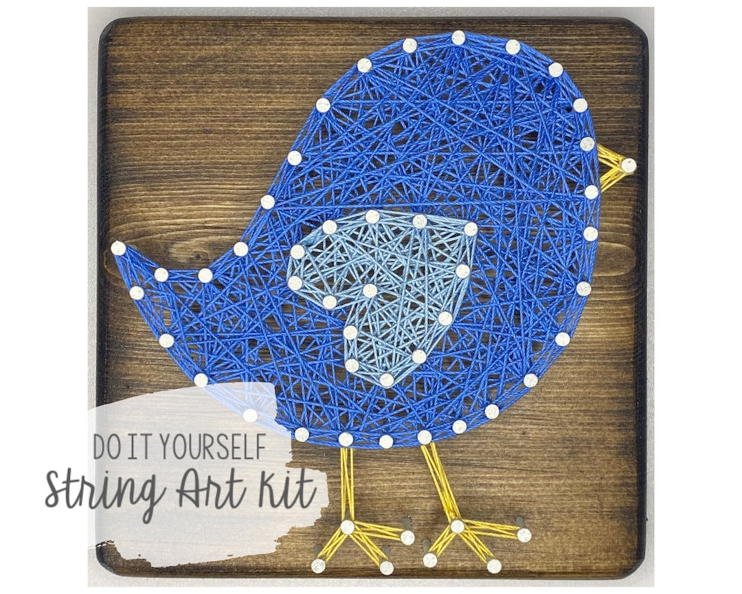 DIY 5x5" Bird String Art Kit - Etsy