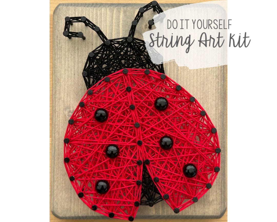 DIY Ladybug String Art Kit - Etsy
