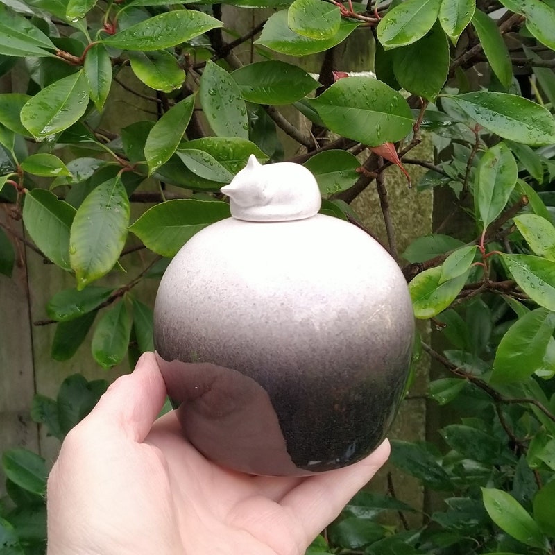 Cat Urn - Etsy