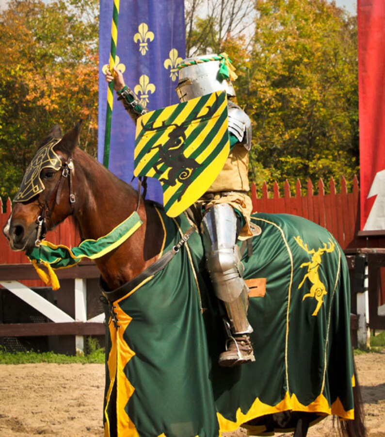 Jousting Caparison Rein Covers with Crinet and Maske or | Etsy