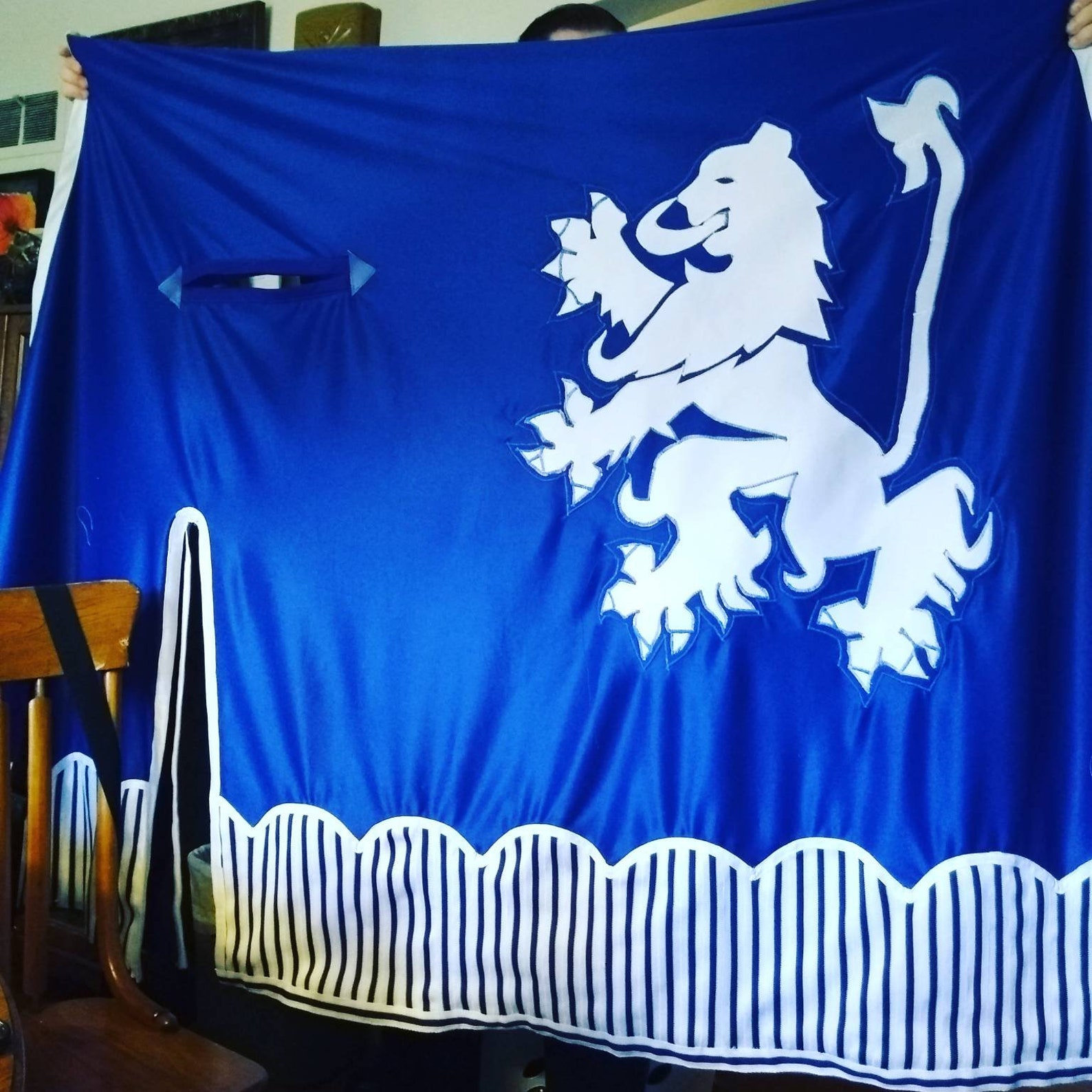 Jousting Caparison Rein Covers with Crinet and Maske or | Etsy