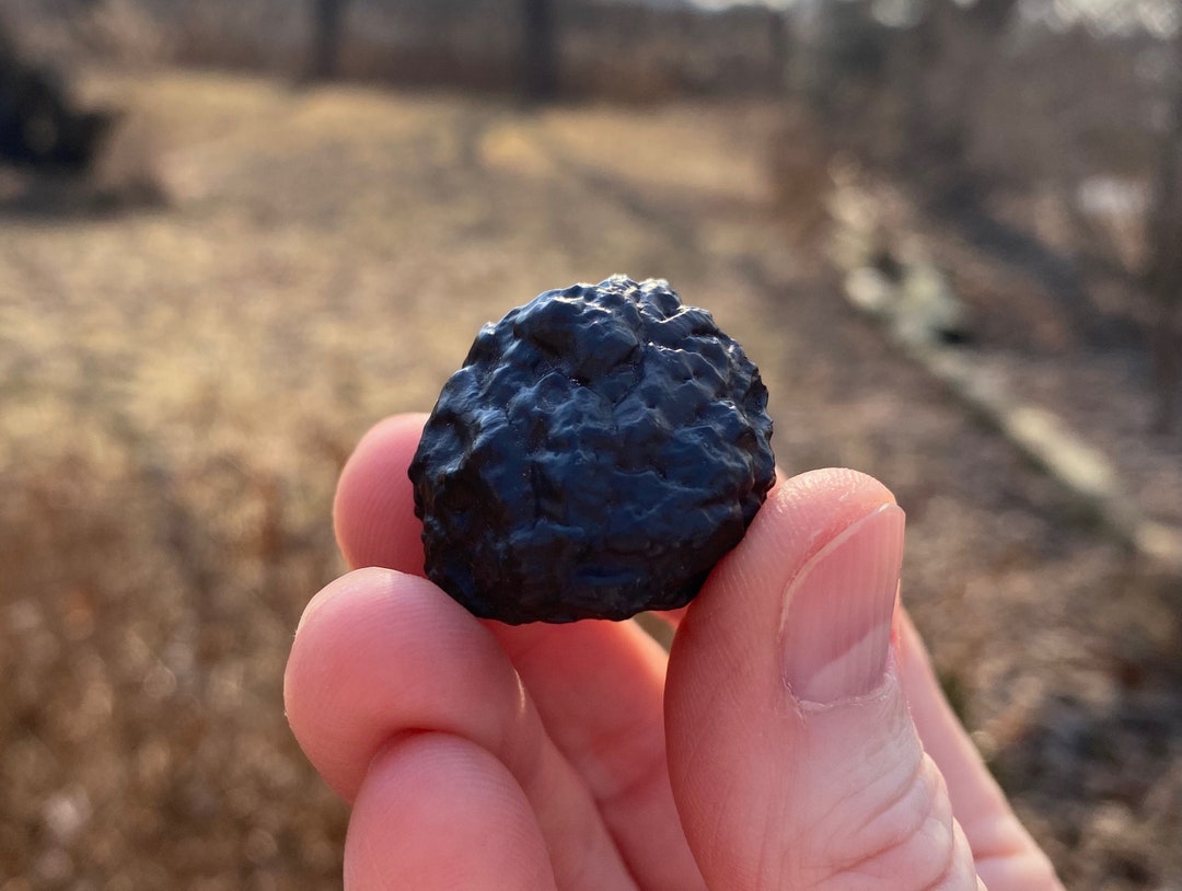 Prophecy Stone Hematite and Limonite Egypt, Prophecy Stone Pseudomorph ...