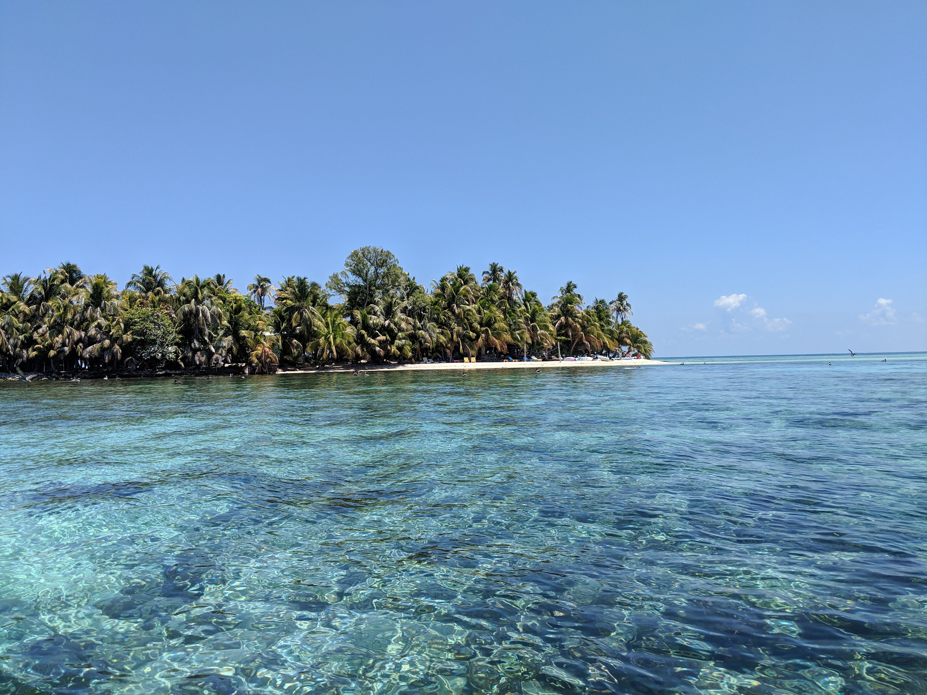 Belize Waterscape Wall Art Print, Screensaver, Digital Photo, Instant ...