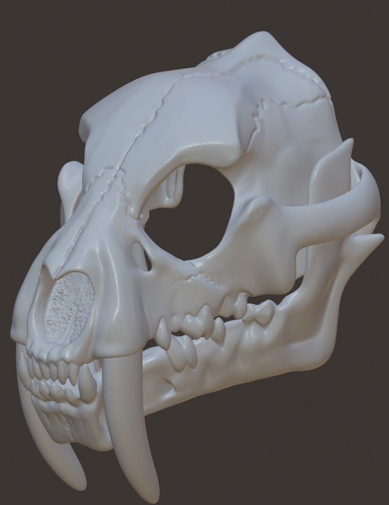 Skull Sabertooth/smilodon Fursuit Headbase STL - Etsy