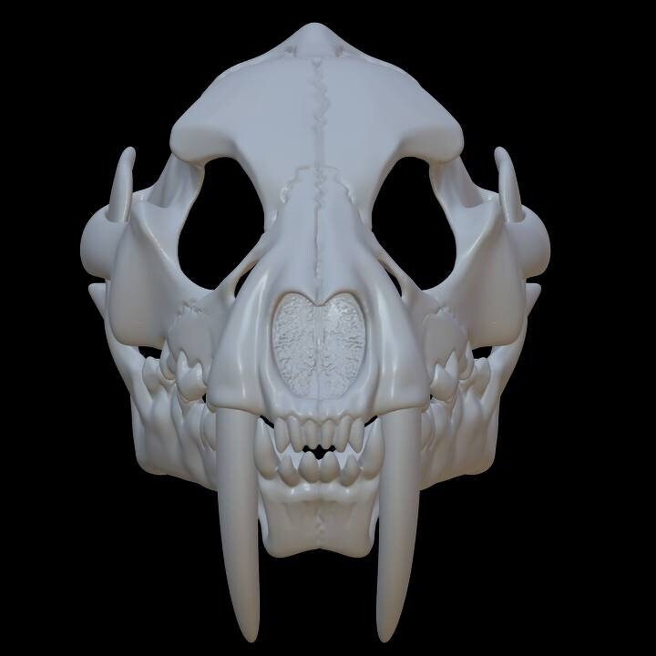 Skull Sabertooth/smilodon Fursuit Headbase STL - Etsy