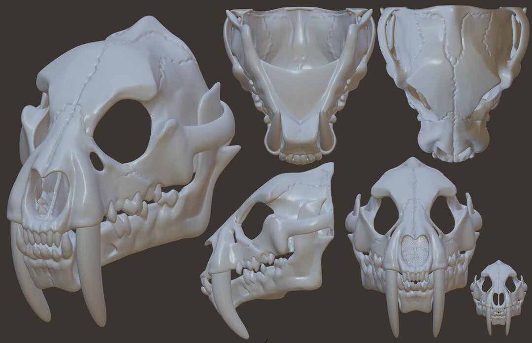 Skull Sabertooth/smilodon Fursuit Headbase ||| PRINT ||| - Etsy