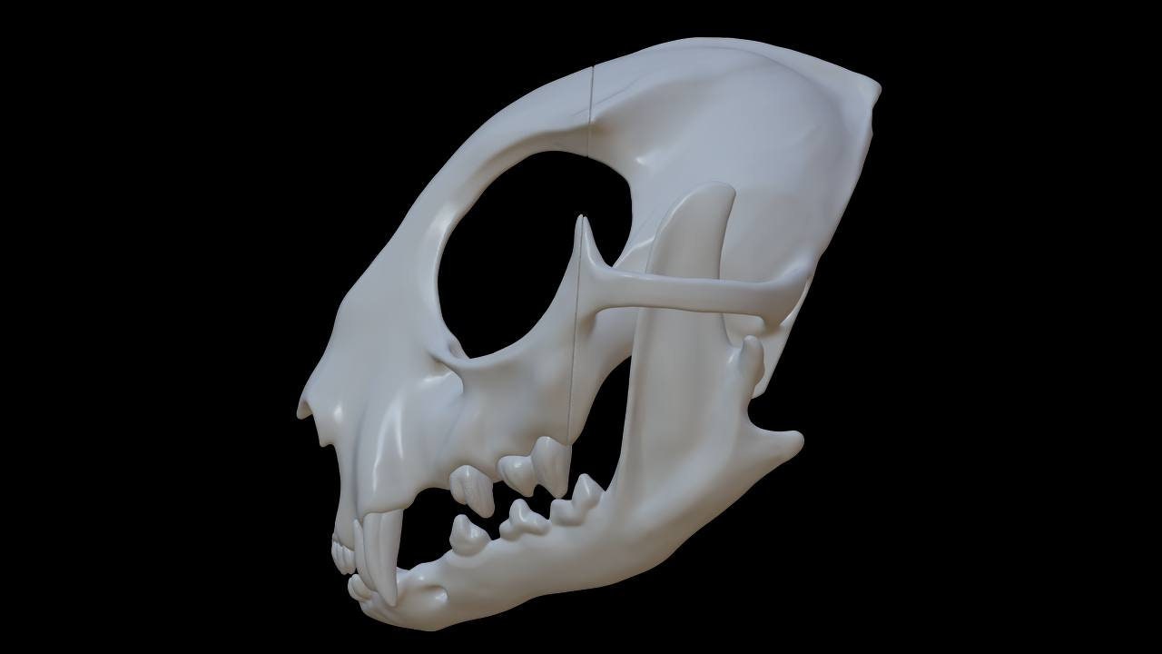Skull Cat Fursuit Headbase ||| STL ||| - Etsy