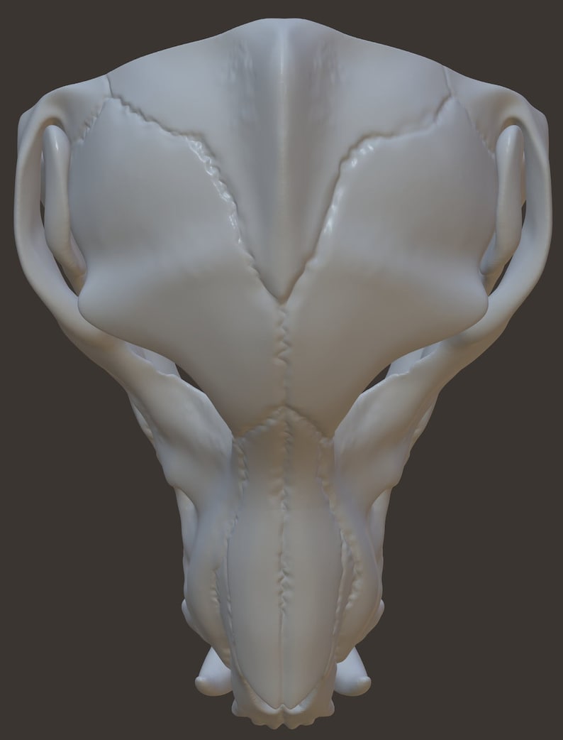 Skull Wolf Fursuit Headbase STL - Etsy