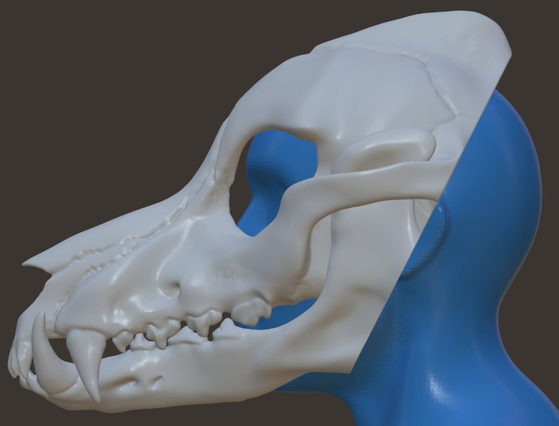 Skull Wolf Fursuit Headbase STL - Etsy