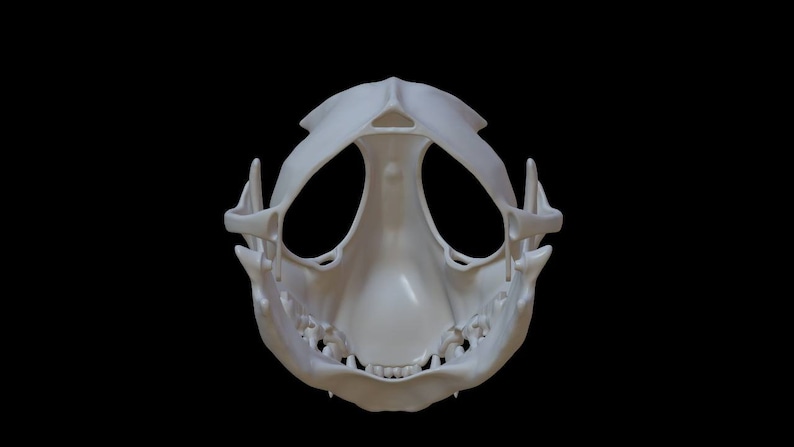 Skull Cat Fursuit Headbase ||| STL ||| - Etsy