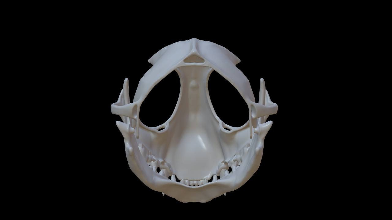 Skull Cat Fursuit Headbase ||| STL ||| - Etsy