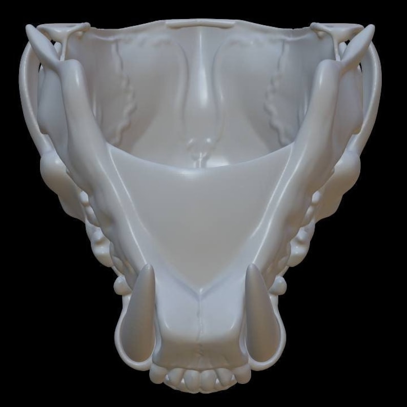 Skull Sabertooth/smilodon Fursuit Headbase STL - Etsy