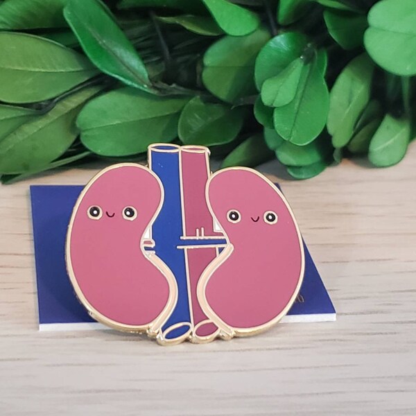 Kidney Gift - 60+ Gift Ideas for 2024