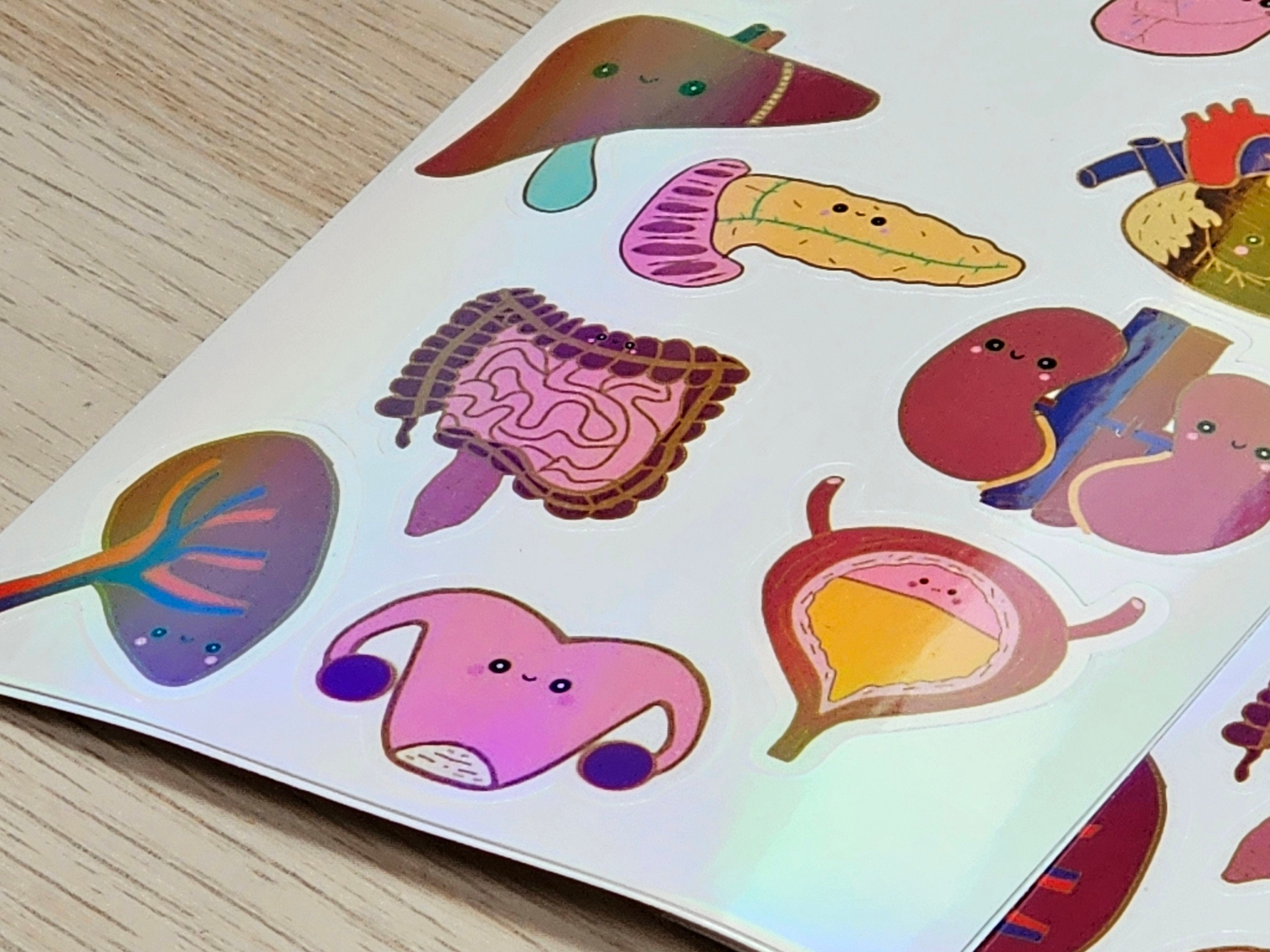 Happy Anatomy Stickers: Kawaii Organ Stickers, Medical Gift - Etsy